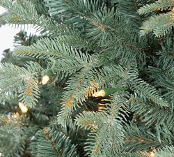 Lit Natural Cut Blue Spruce Faux Christmas Tree | Pottery Barn