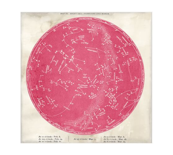 Framed Vintage Astronomical Chart - Pink | Pottery Barn