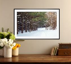 Winter Lane By Cindy Taylor | Pottery Barn