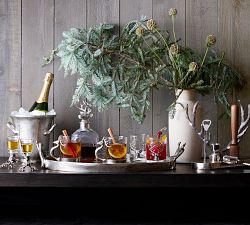 Stag Shot Glasses - Set of 2 | Pottery Barn