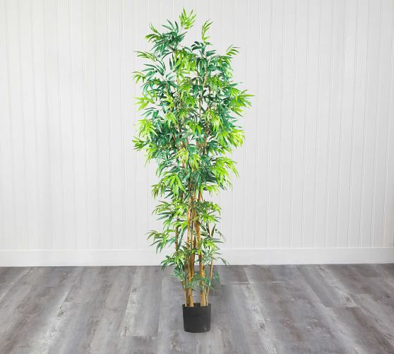 Faux Curved Bamboo Trees | Pottery Barn