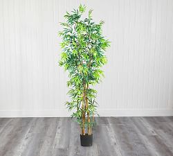 Faux Curved Bamboo Trees | Pottery Barn