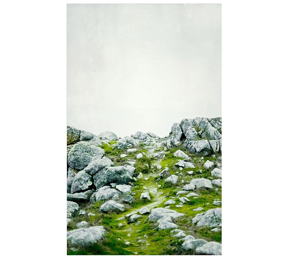 Stone Path by Lupen Grainne | Pottery Barn