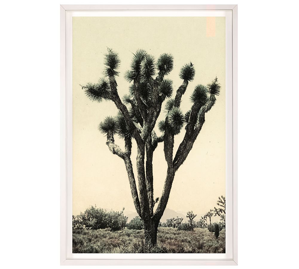 Joshua Tree Framed Prints | Pottery Barn