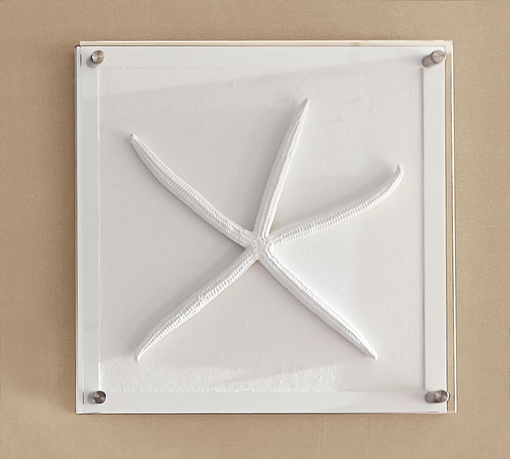 Oversize Starfish Shadow Box | Pottery Barn