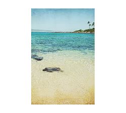 West Side Paper by Lupen Grainne | Pottery Barn