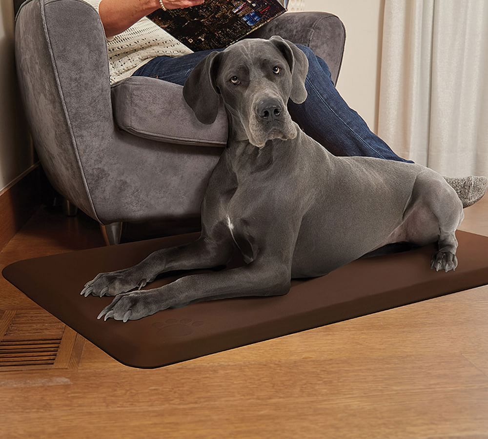 WellnessMats® Pet Mats | Pottery Barn