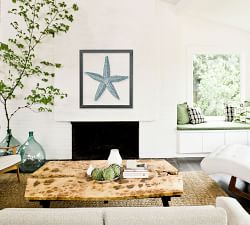 Starfish Framed Acrylic Print | Coastal Wall Art | Pottery Barn