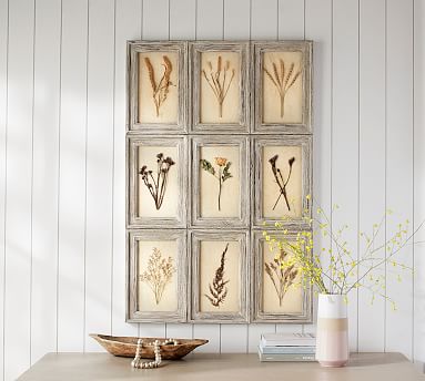 Aiden Pressed Florals Wall Art | Wall Decor | Pottery Barn