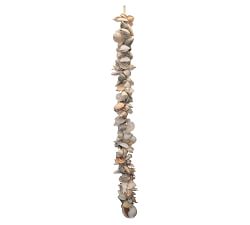 White Assorted Shell Garland, 56" | Pottery Barn
