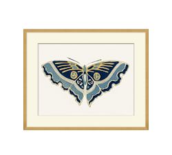 Blue & Gold Butterfly Framed Prints | Pottery Barn