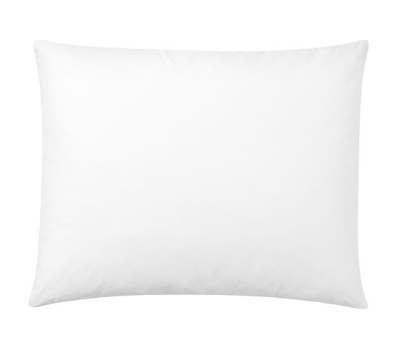 22x22 Pillow Insert | Pottery Barn