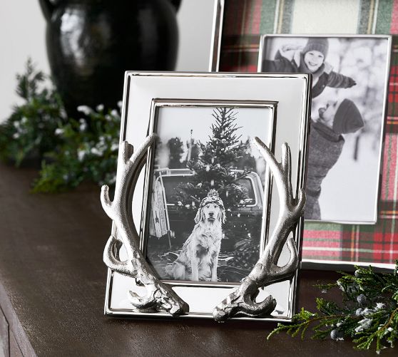 Antler Frame | Pottery Barn