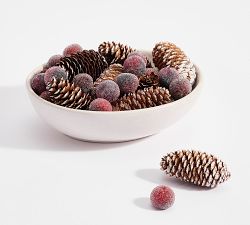 Pinecone And Cranberry Vase Filler | Pottery Barn