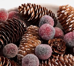 Pinecone And Cranberry Vase Filler | Pottery Barn