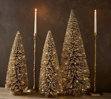 Lit Bottlebrush Trees | Pottery Barn
