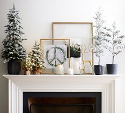 Potted Flocked Pine Tree | Pottery Barn