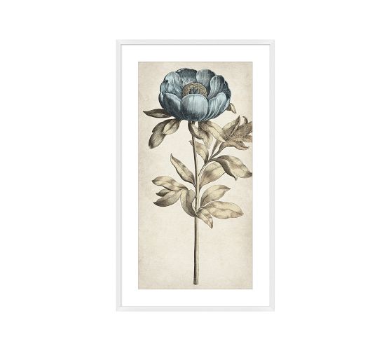 Floral Etching Framed Print | Pottery Barn
