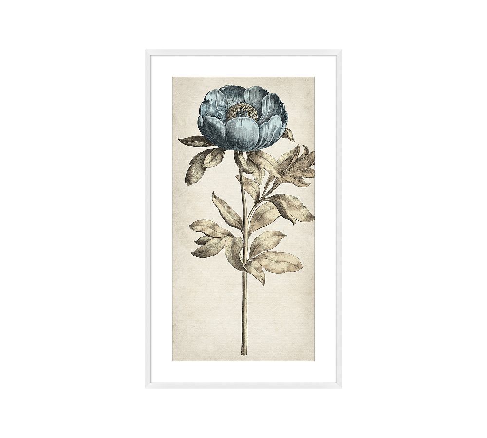 Floral Etching Framed Print | Pottery Barn