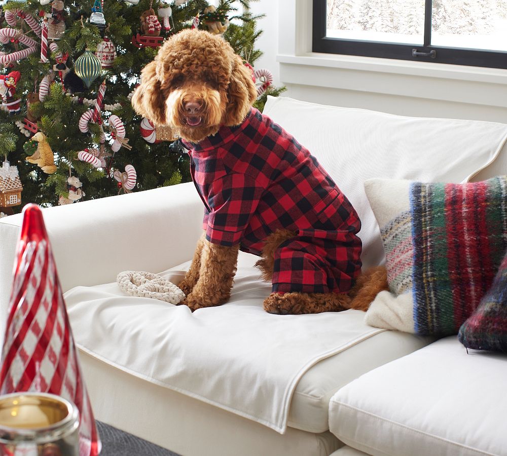 Matching Plaid Pet Pajamas | Pottery Barn