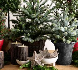 Faux Lit Blue Spruce Tree | Pottery Barn