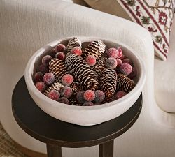 Pinecone And Cranberry Vase Filler | Pottery Barn