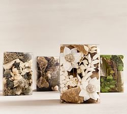 Seasonal Scent Collection - Potpourri | Pottery Barn