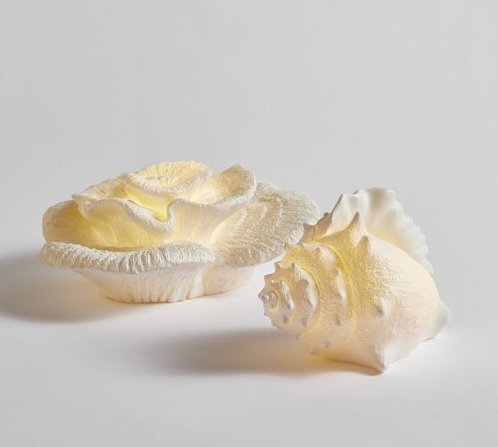 Lit Coastal Objects | Pottery Barn