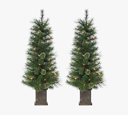 Lit Faux Potted Cashmere Trees - Set of 2 | Pottery Barn