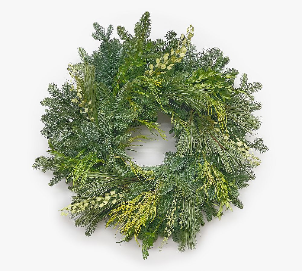 Fresh Yule Forest Wreath | Pottery Barn