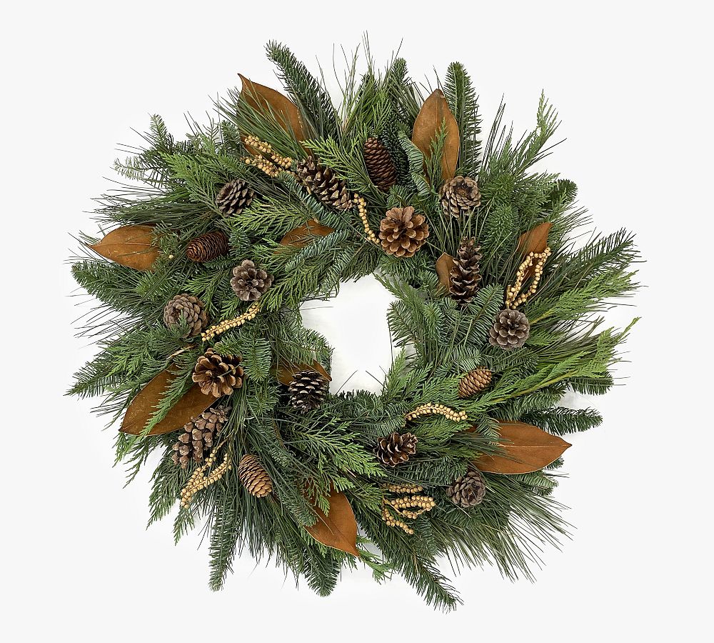 Fresh Pinecone, Magnolia & Canella Berry Wreath - 22" | Pottery Barn