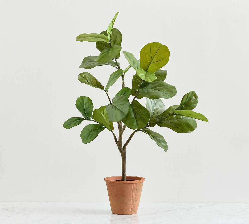 Faux Small Potted Fiddleleaf Fig | Pottery Barn