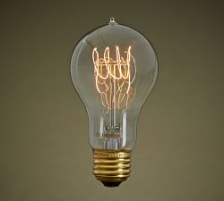 Filament Loop 60W Light Bulb | Pottery Barn