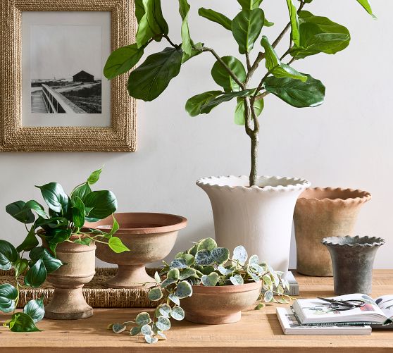 Palermo Planters for Your Home | Pottery Barn