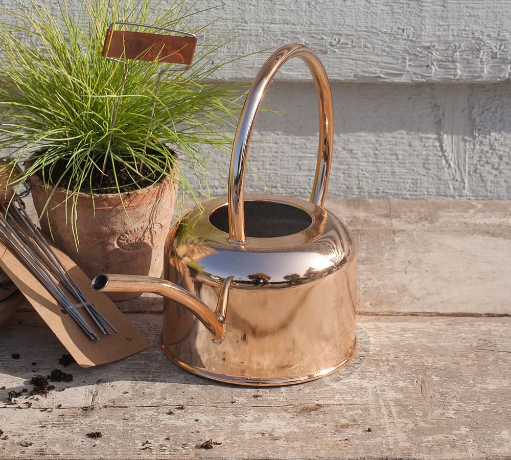 Copper Plated Watering Can | Pottery Barn
