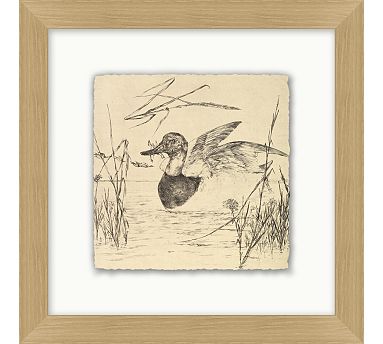 Fowl Sketch Framed Print | Pottery Barn