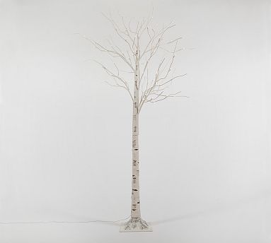 Lit LED Faux Birch Trees | Pottery Barn
