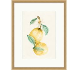 Summer Citrus Framed Print | Pottery Barn