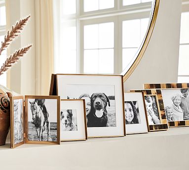 Horn and Brass Assorted Frames | Pottery Barn