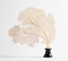 Faux Peach Fan Coral - Elegant Home Decor | Pottery Barn