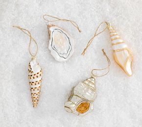Coastal Seashell Ornaments - Set of 4 | Pottery Barn