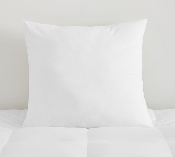 22 x 22 Pillow Inserts | Pottery Barn
