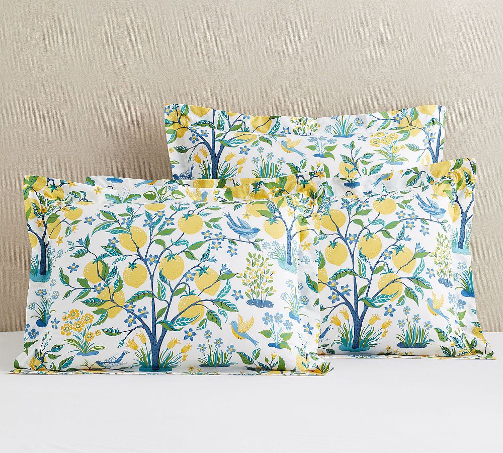 Capri Lemon Tree Percale Sham | Pottery Barn