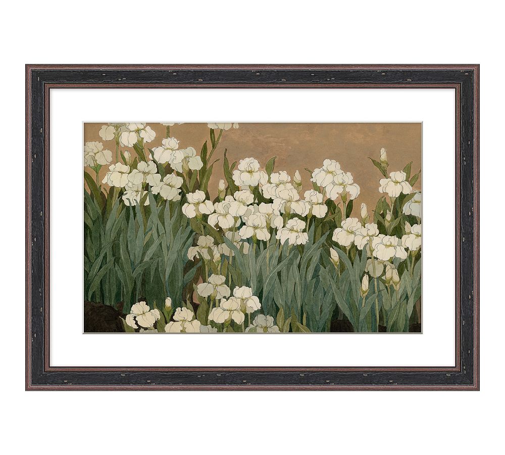 White Bearded Iris Framed Print by Carleigh Courey | Pottery Barn