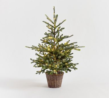 Open Box: Faux Lit Spruce Potted Tree (48") | Pottery Barn