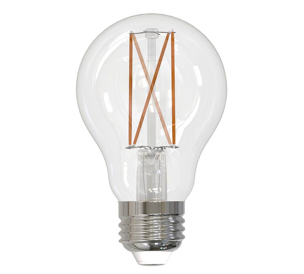 A19 E26 5W LED Filament Bulb - Pack of 2 | Pottery Barn