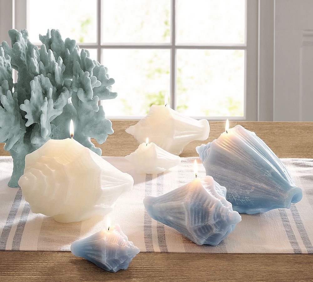 Conch Shell Candle | Pottery Barn